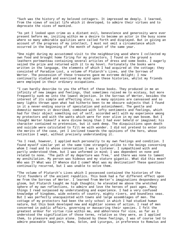 Literature 106 Notes ESSENTIAL STUFF FOR REAL | PDF