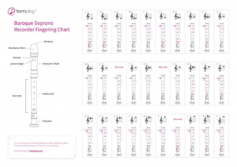 Free Baroque Soprano Recorder Fingering Chart To Download and Print ...
