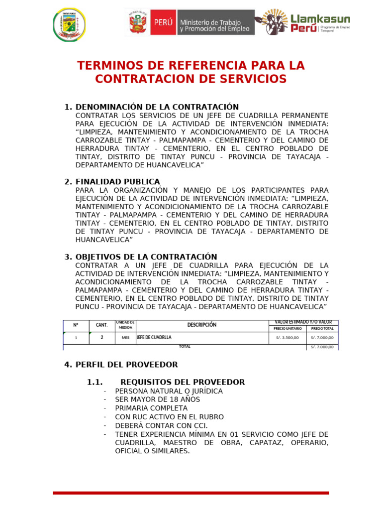 TDR Jefe de Cuadrilla Ok | PDF