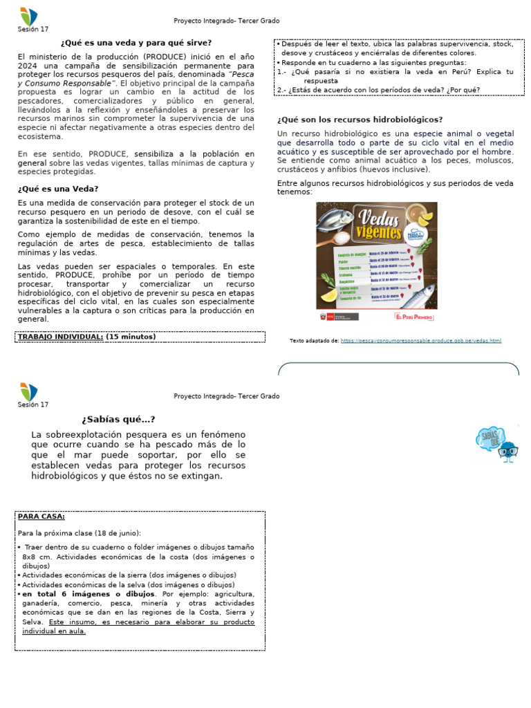 Documento 4 | PDF