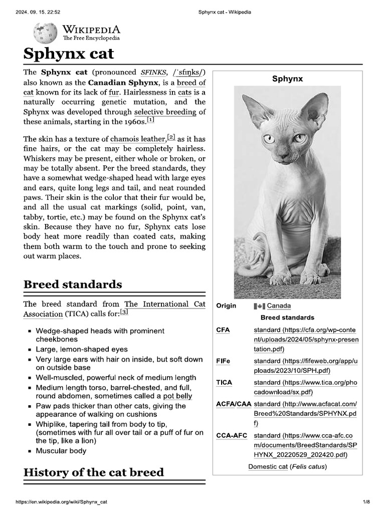Sphynx Cat | PDF