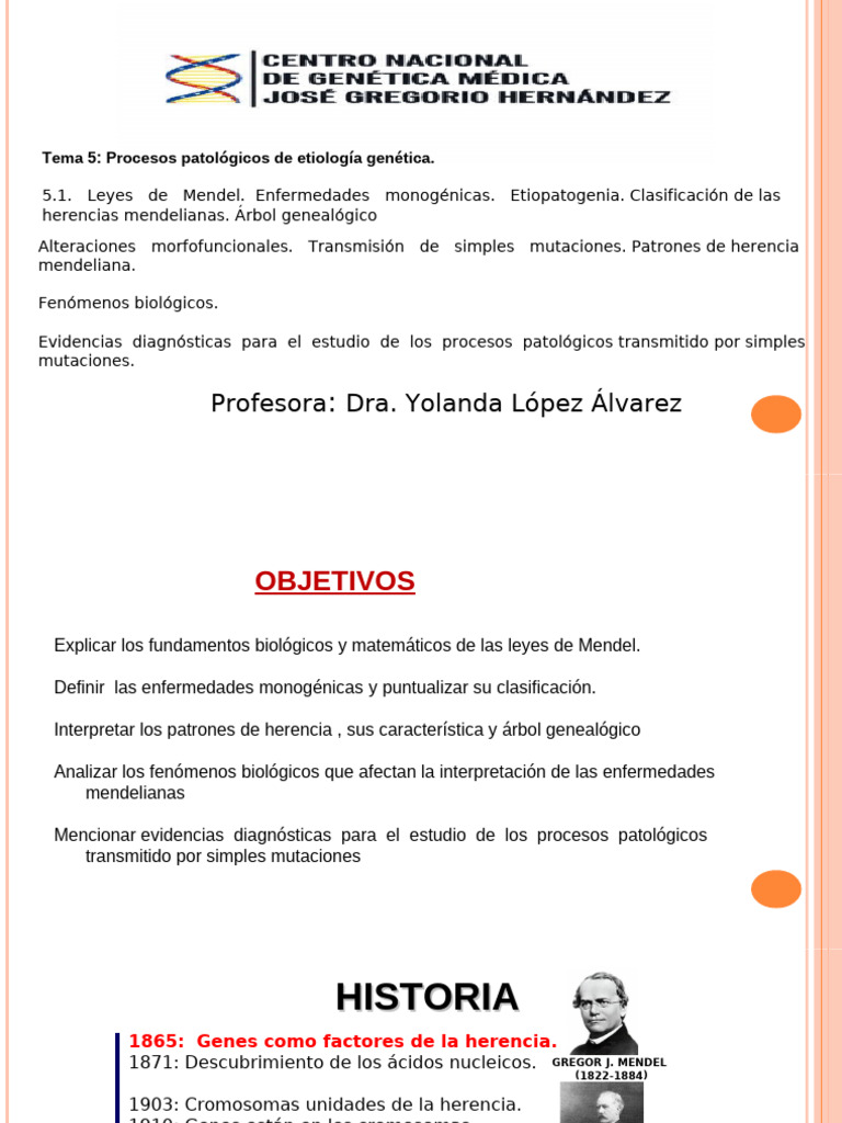 Tema 5 Elam | PDF