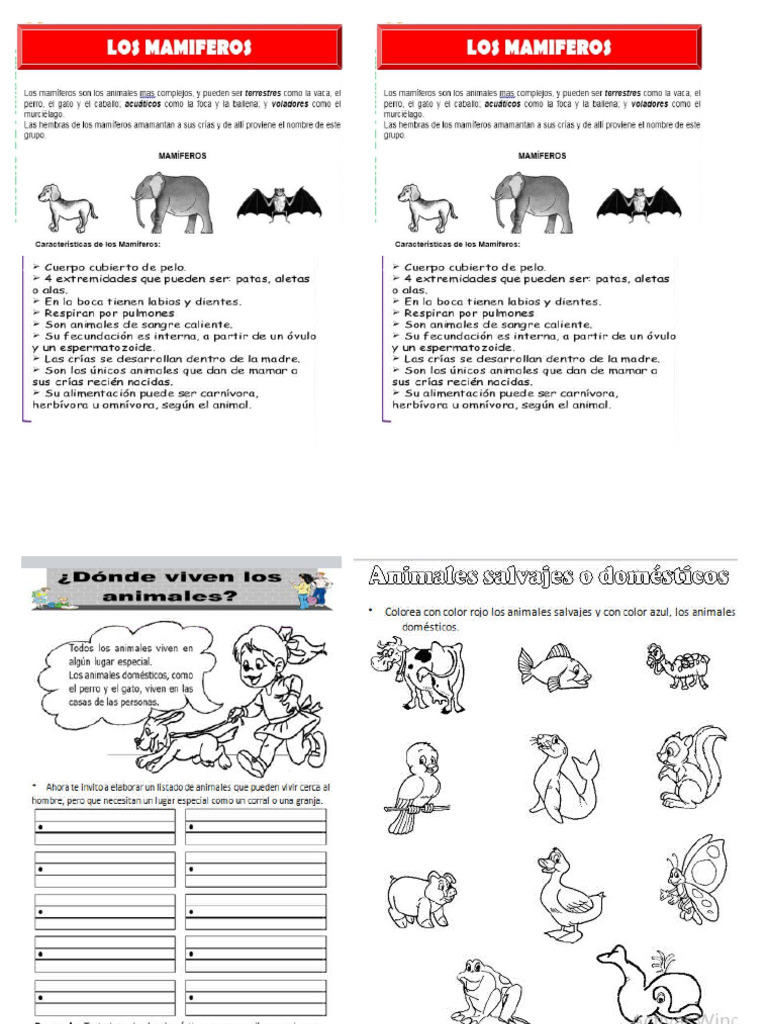 Anima Mamiferos | PDF