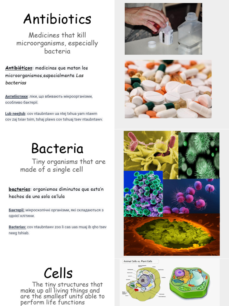Antibiotics: Medicines That Kill Microorganisms, Especially Bacteria | PDF