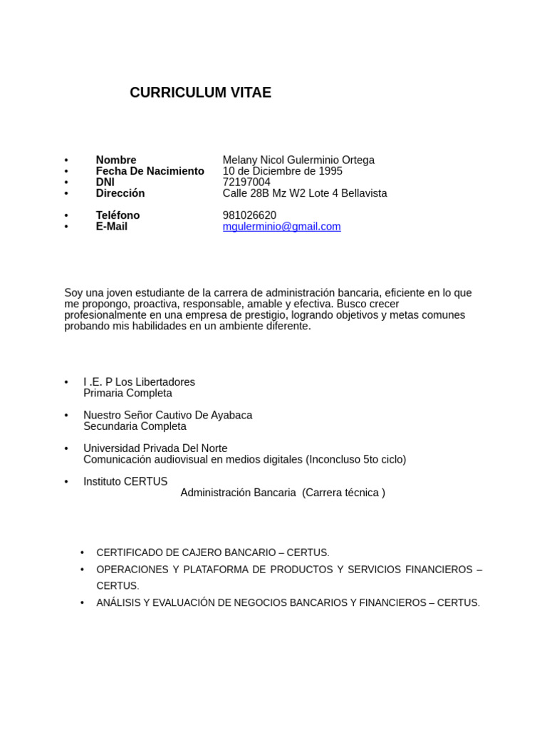 Curriculum Vitae 2024 | PDF