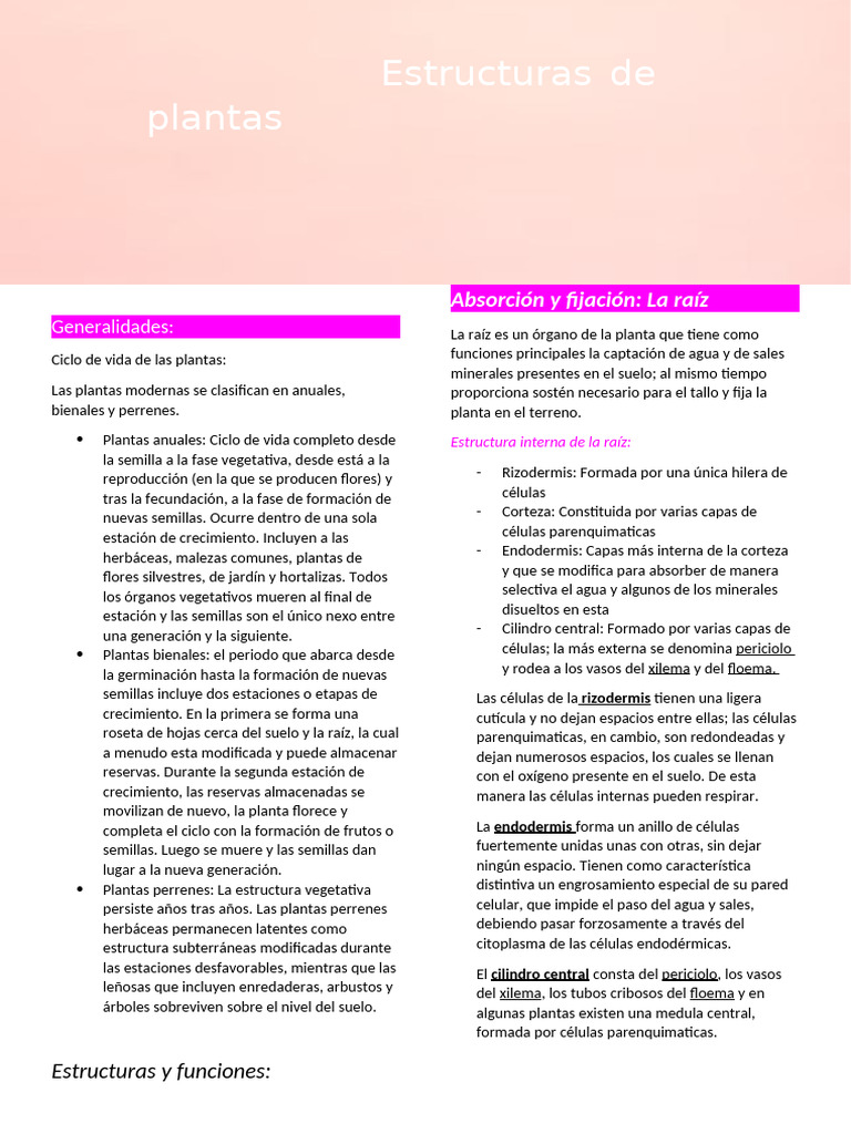 Estructuras de plantas | PDF