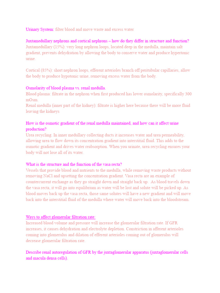 Urinary System Study Guide | PDF | Angiotensin | Kidney