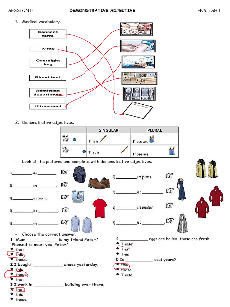 Session 5 Demonstrative Adjective English 1 | PDF