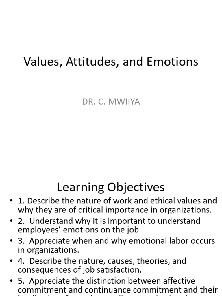 Values, Attitudes, And Moods and Emotions | PDF