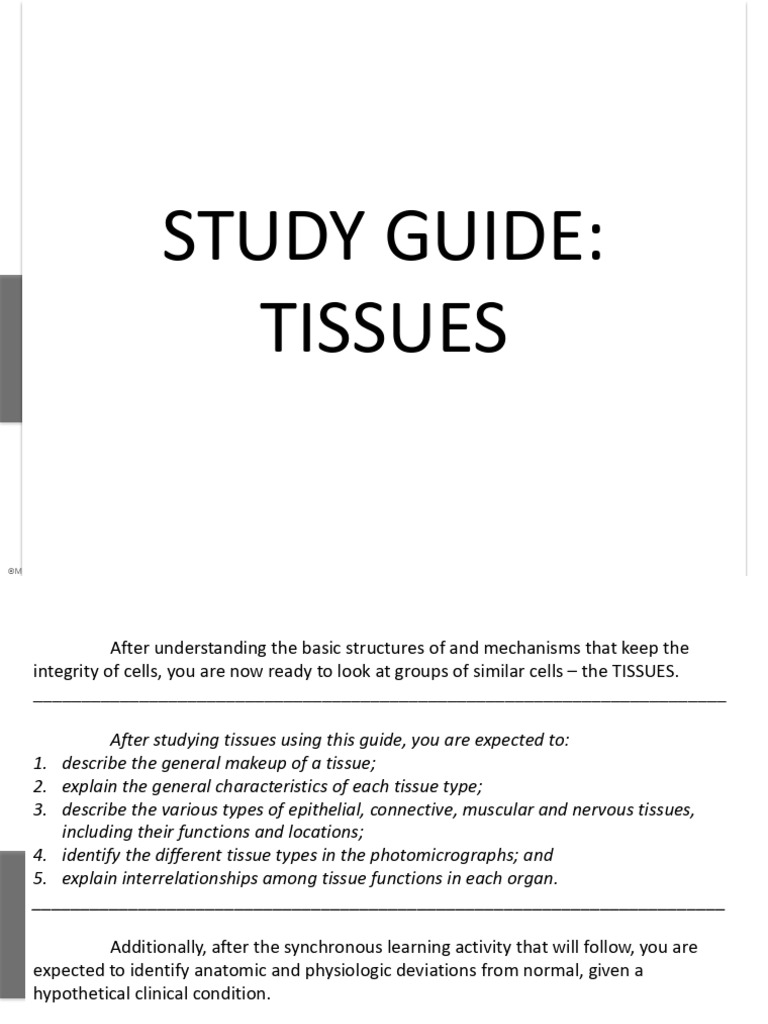Tissues and Membranes - Study Guide For Students - 2024 | PDF