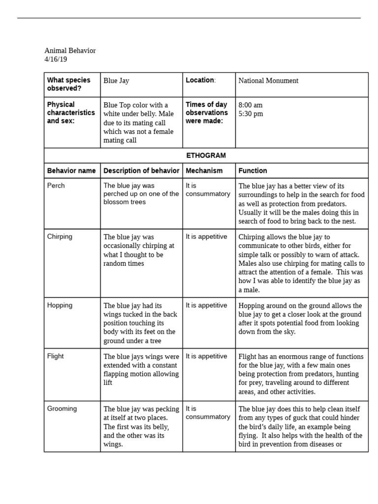 Animal Behavior Ethogram | PDF