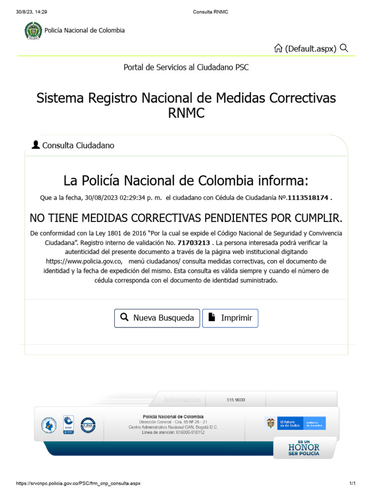 Consulta RNMC | PDF