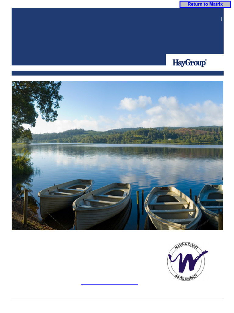 Hay Group Proposal | PDF