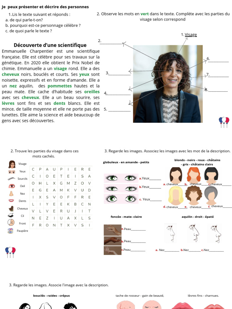 La Description Du Visage | PDF