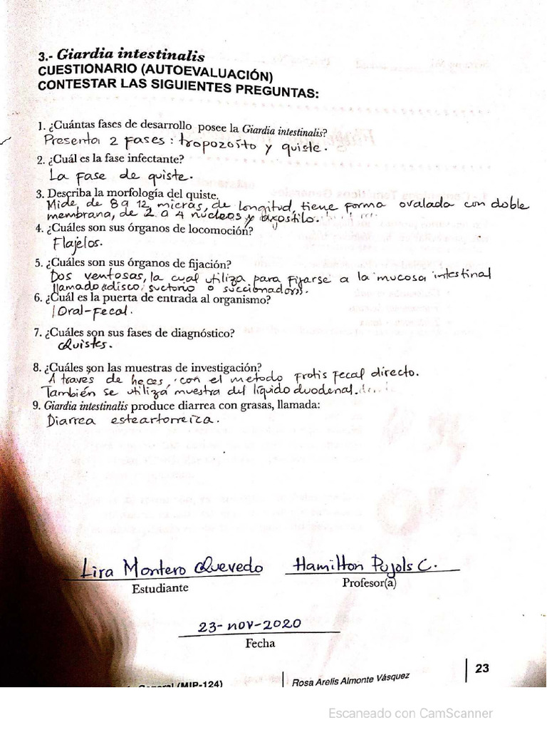 Manual Parasitologia Bueno | PDF