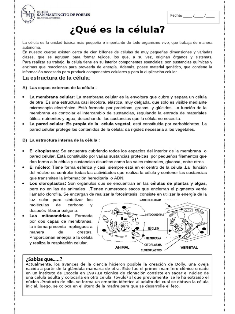 ficha celula | PDF
