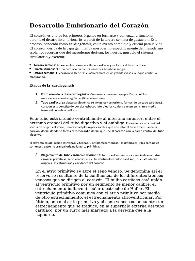 Desarrollo Embrionario Del Corazón | PDF