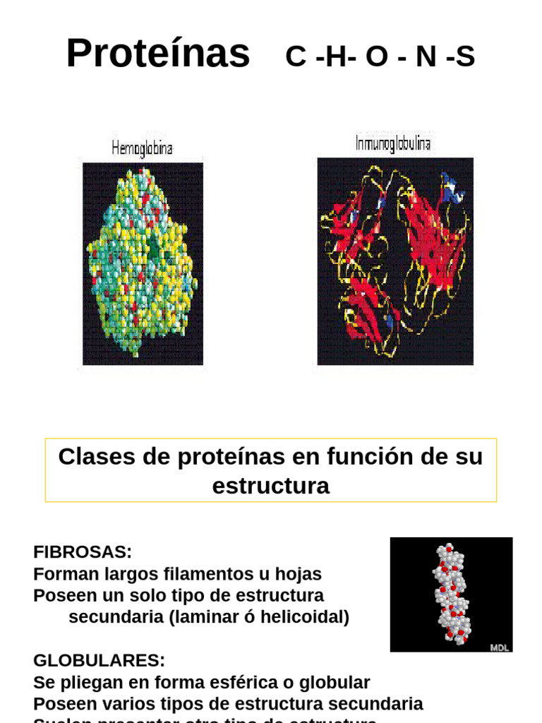 Proteínas C - H - O - N | PDF