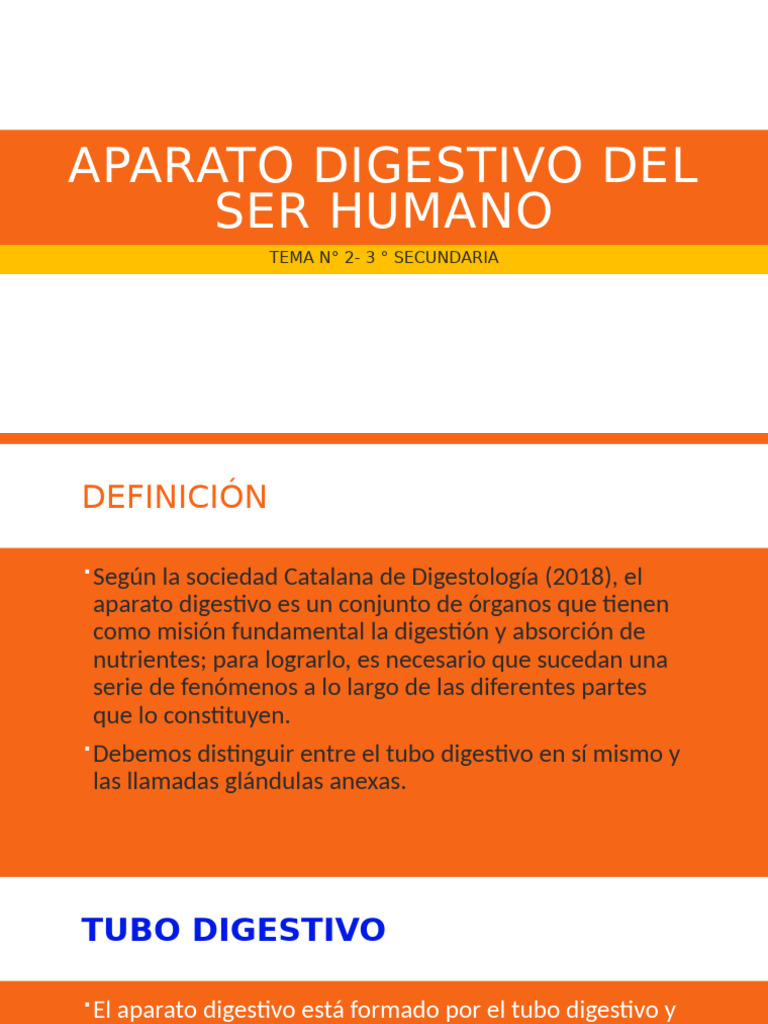 Aparato Digestivo Del Ser Humano | PDF