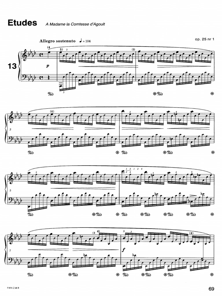 Etudes Op25 2 | PDF