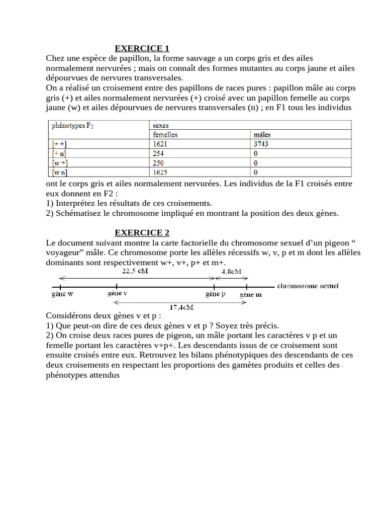 Exercice 1 | PDF