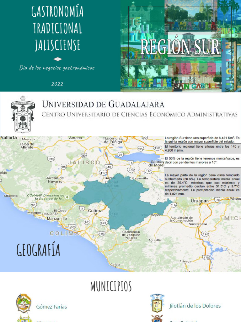 Región Sur | PDF