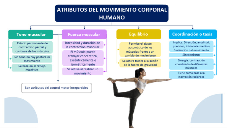 Atributos Del Movimiento Corporal Humano | PDF