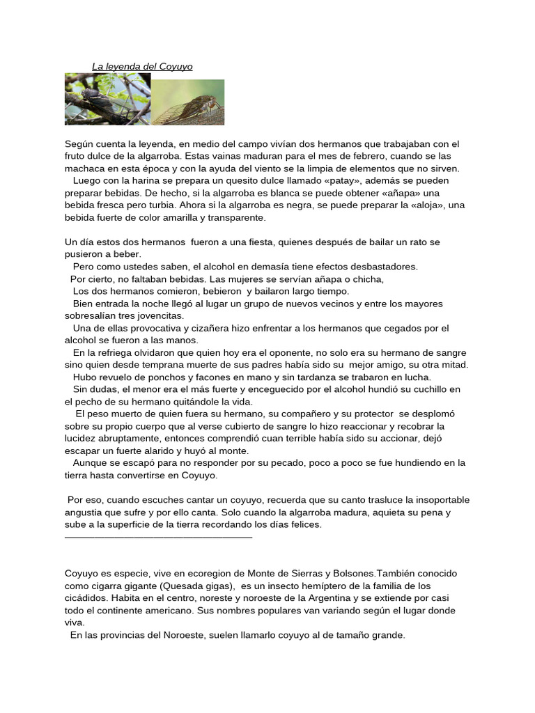 Coyuyo | PDF