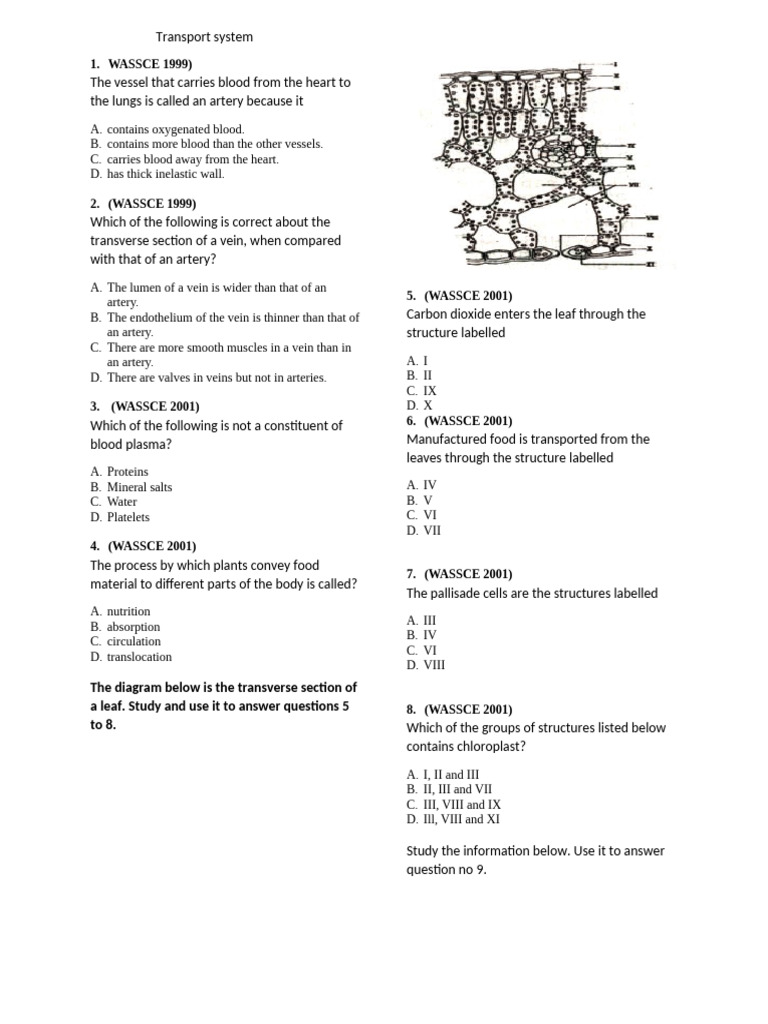 Transport System | PDF