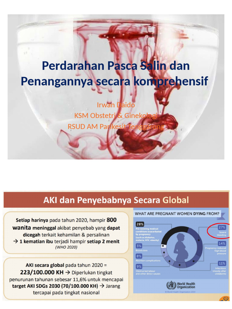 Presentation1 HPP Dinkes | PDF