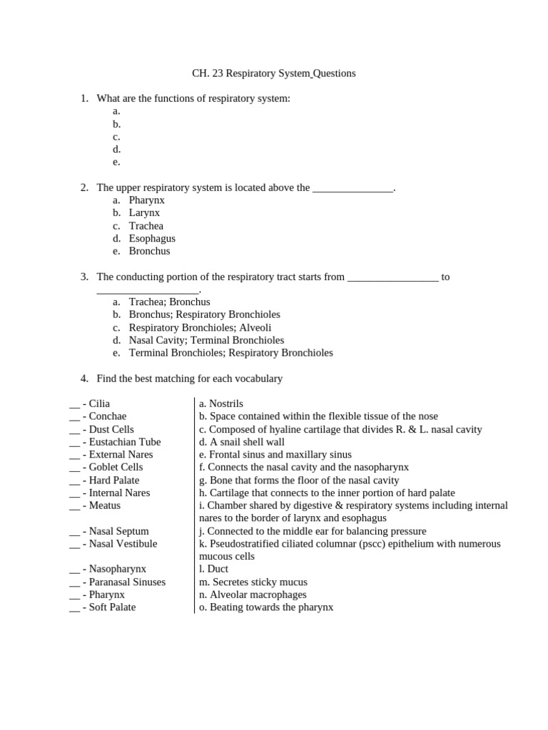 ch 23 home-made quiz | PDF