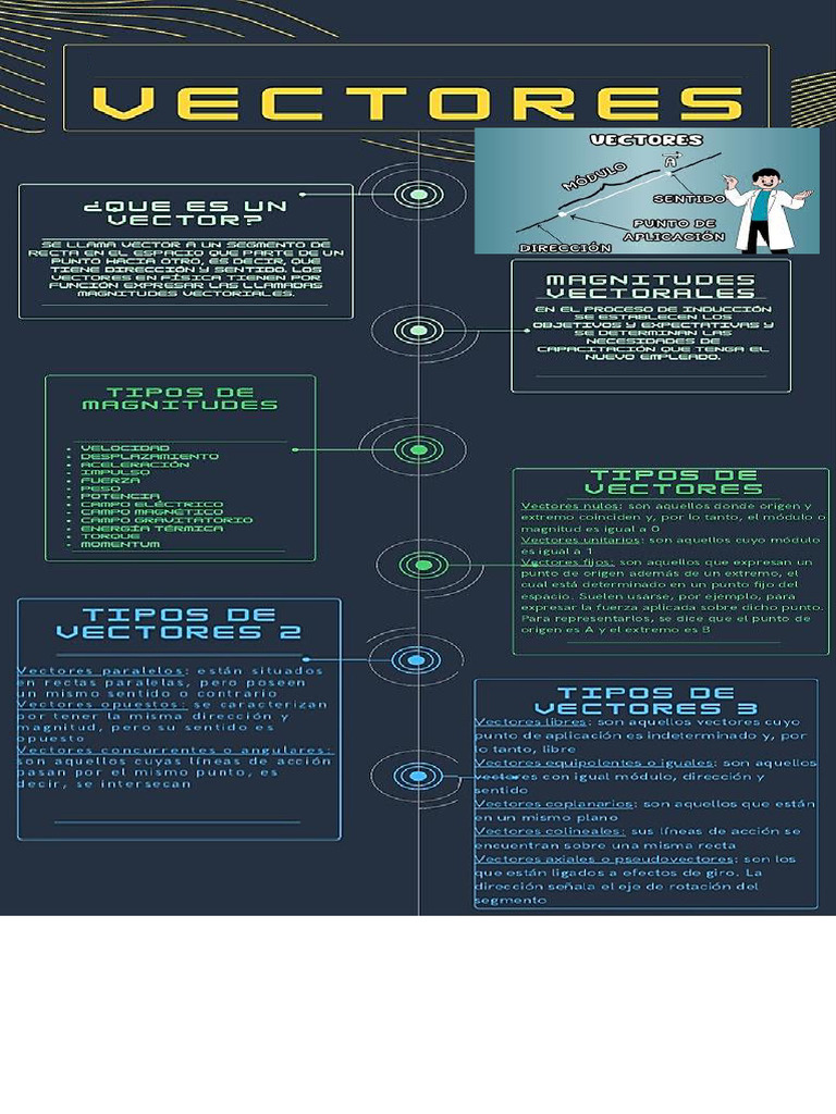 Vecctor | PDF
