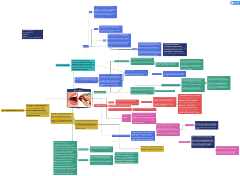 MAPA CONCEPTUAL SOBRE EL GUSTO ELIZABETH ROJAS ORTIZ 100459997 | PDF