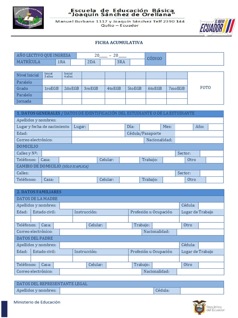 Dece Ficha Acumulativa (3) | PDF