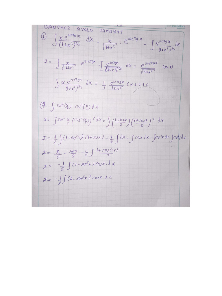 Cálculo Integral | PDF