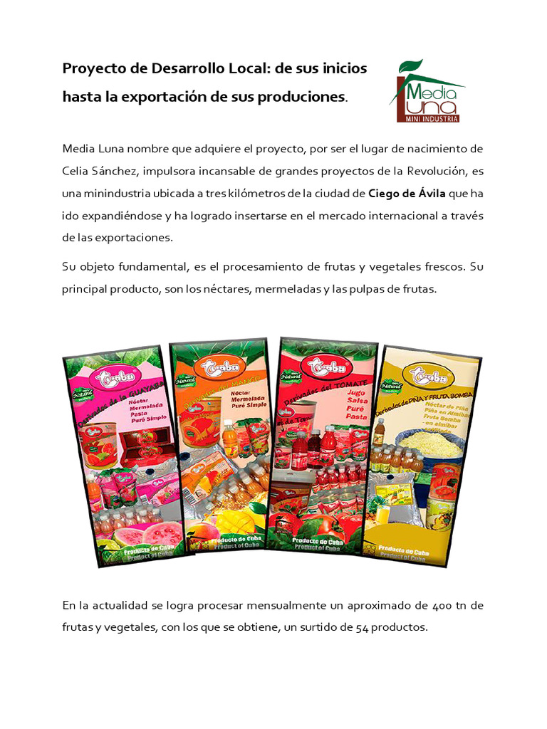 MEDIA LUNA Proyecto de Desarrollo Local | PDF