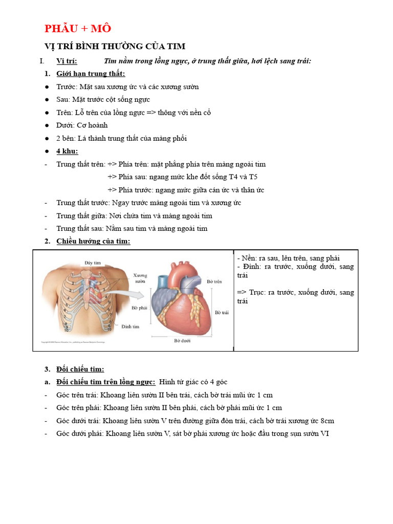 Tóm Tắt Lý Thuyết Module Tim Mạch | PDF