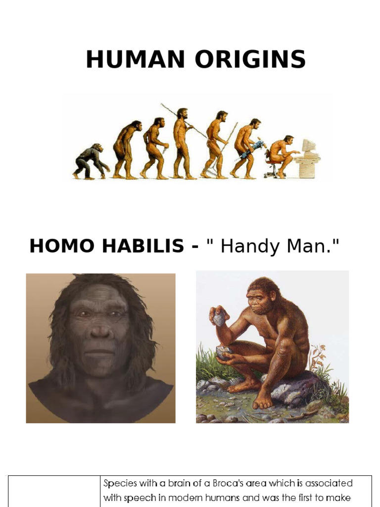 Human Origins | PDF | Homo | Human Evolution