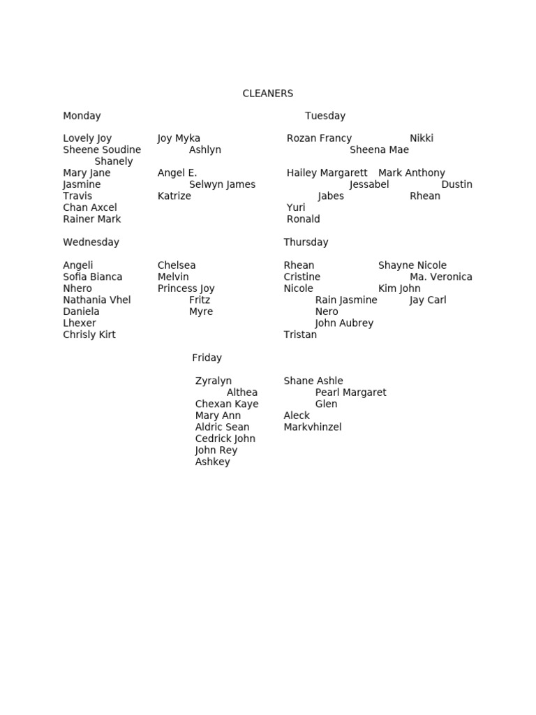 Cleaners Germany | PDF