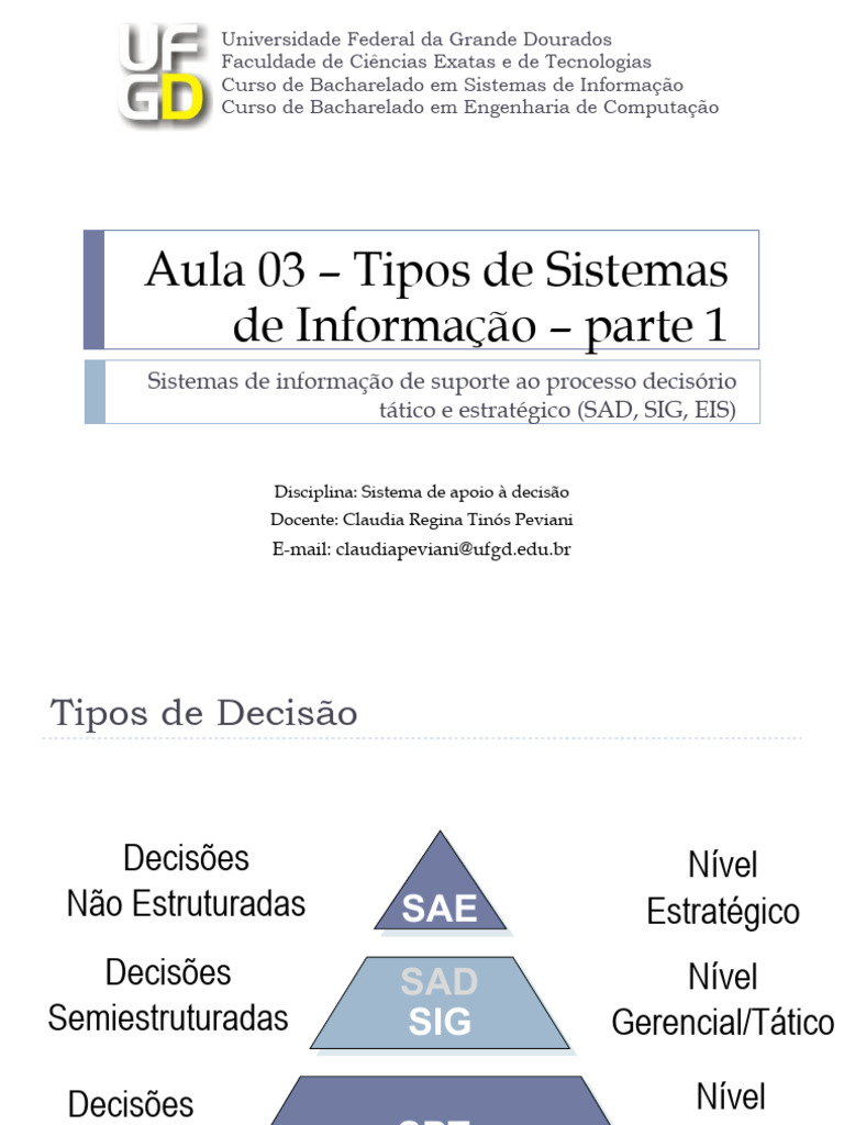 Aula03 - Tipos de SIs - Parte 1 | PDF