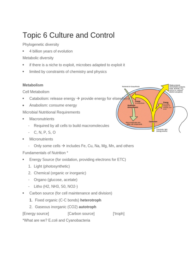 Topic 6 Culture and Control | PDF