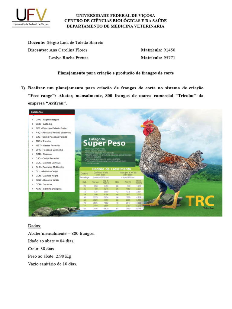 Planejamento para Criação e Produção de Frangos de Corte | PDF