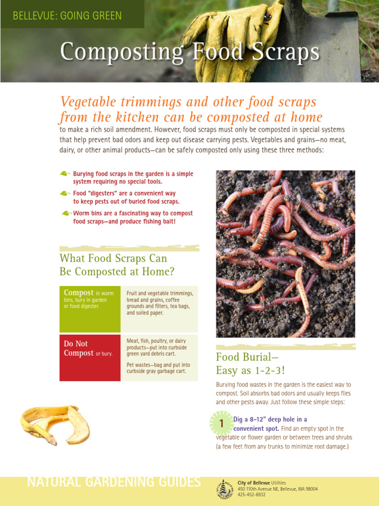 Composting Food Scraps | PDF
