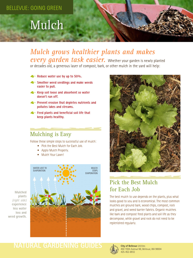 Mulch | PDF