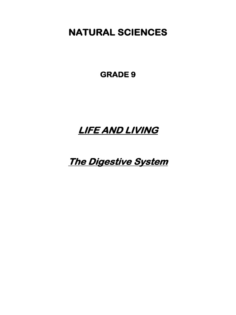 NS Grade 9 Digestive System 2023 | PDF