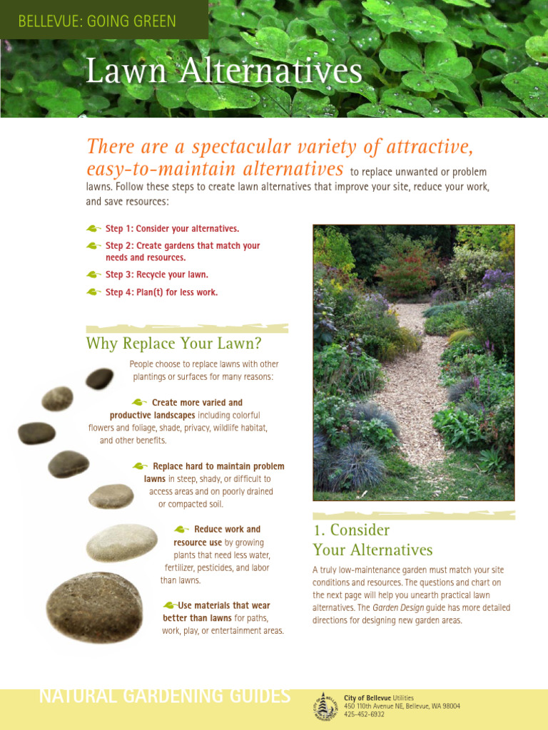 Lawn Alternatives | PDF