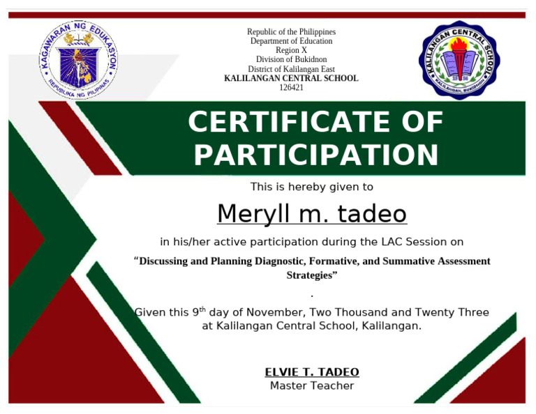 CERT-OF-PARTICIPATION-DURING-LAC-LAC-10 | PDF