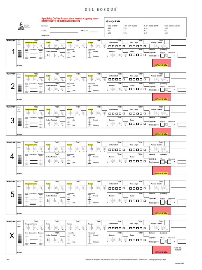 Formato Scaa 6 Muestras | PDF