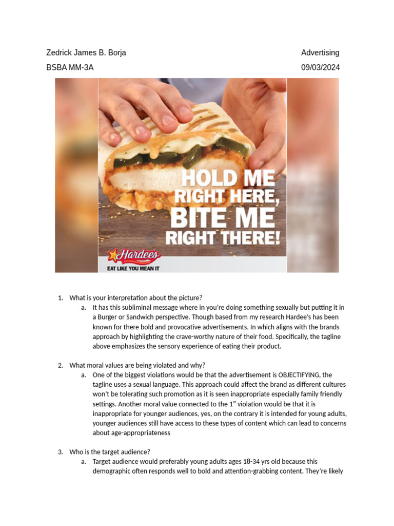 Analyzing Hardee's Provocative Ads | PDF