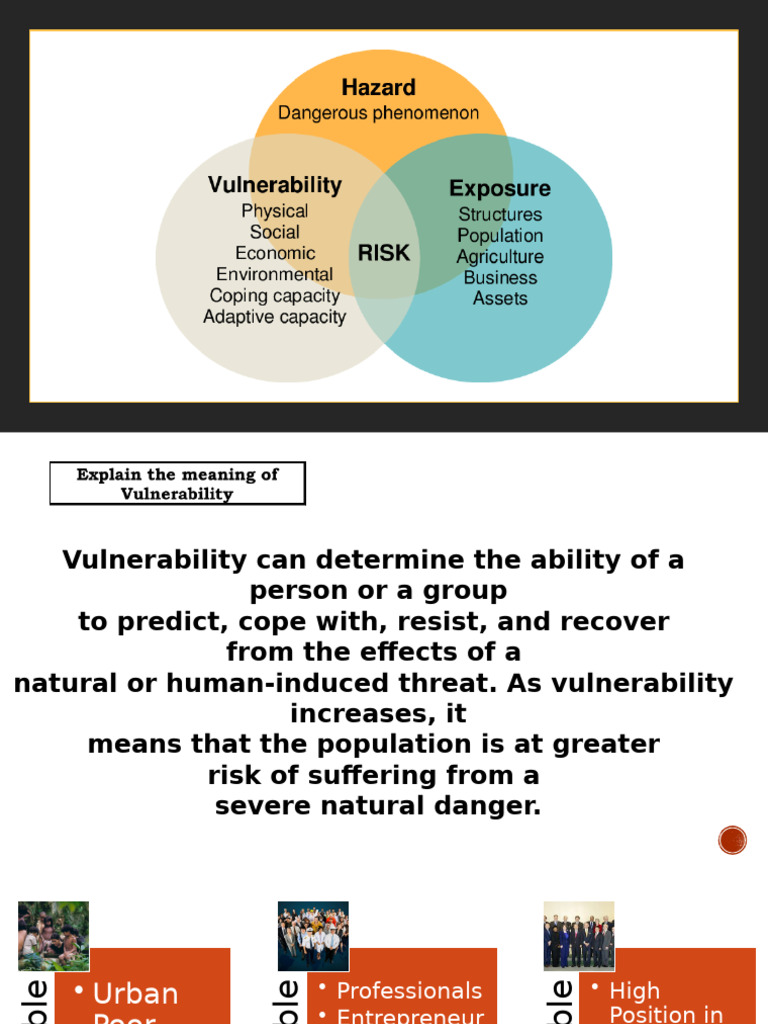 Vulnerability | PDF